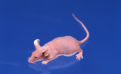 새론바이오 방문에 감사드립니다.